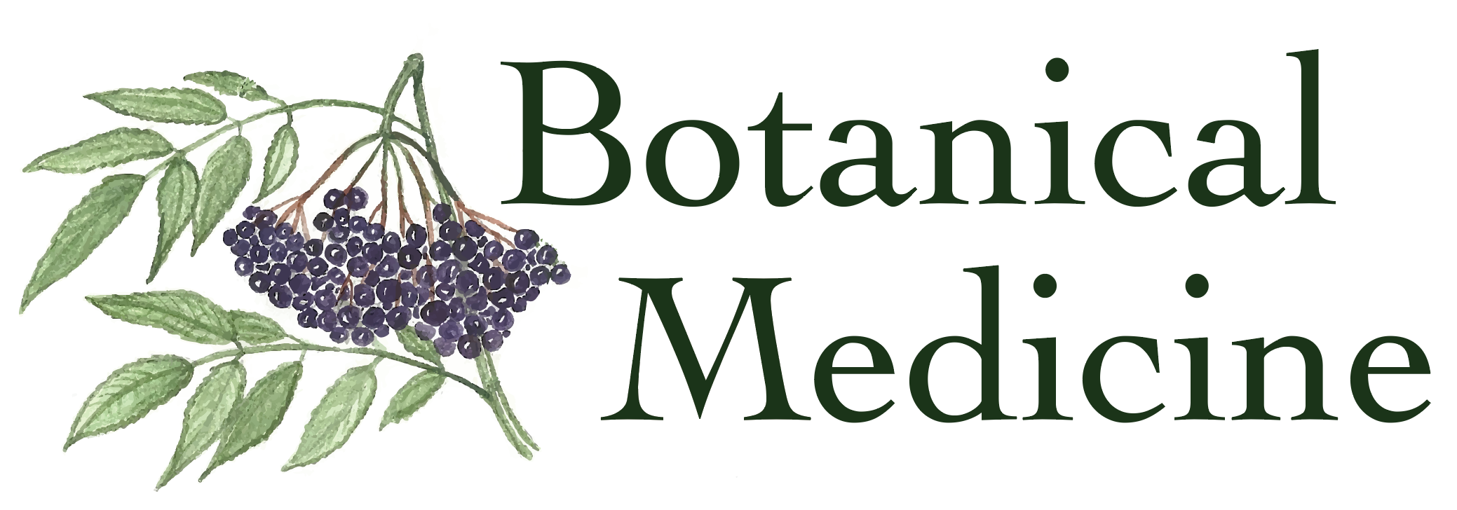 Retraining the Mighty Mast Cells: Mast Cell Activation Syndrome and Hi ...